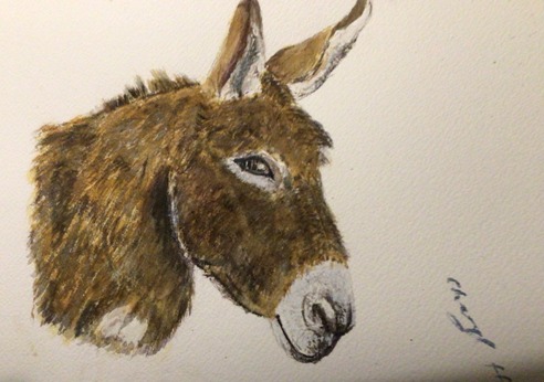 How to paint a donkey in watercolour, video art lesson - The Devon Artist
