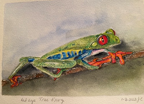 How to paint tree frogs in watercolor, easy video tutorial - The Devon ...
