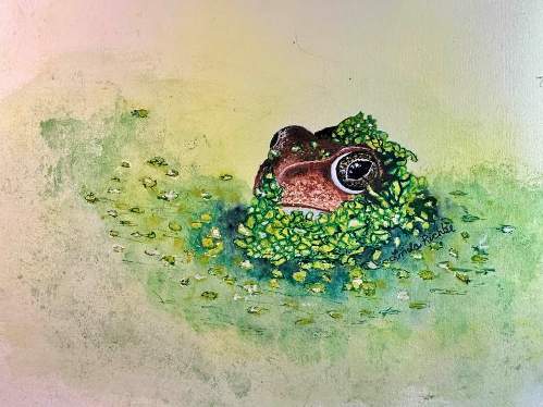 Frog watercolour painting lesson, step-by-step painting - The Devon Artist