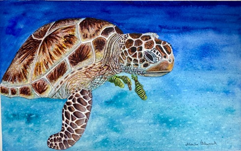 Realistic watercolour painting video - Sea Turtle - The Devon Artist