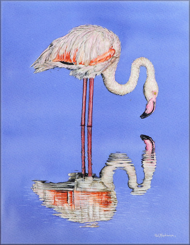 How to paint a realistic watercolor flamingo step-by-step - The Devon ...