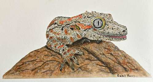 How to paint reptiles in watercolour online lesson - The Devon Artist