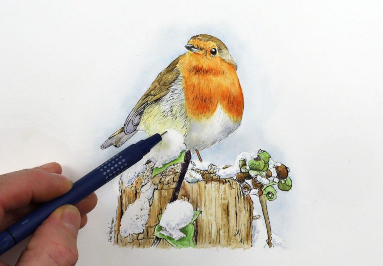 About the Artist - Paul Hopkinson - The Devon Artist