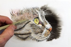 Wildlife in Watercolour tutorial index, what will you paint? - The ...