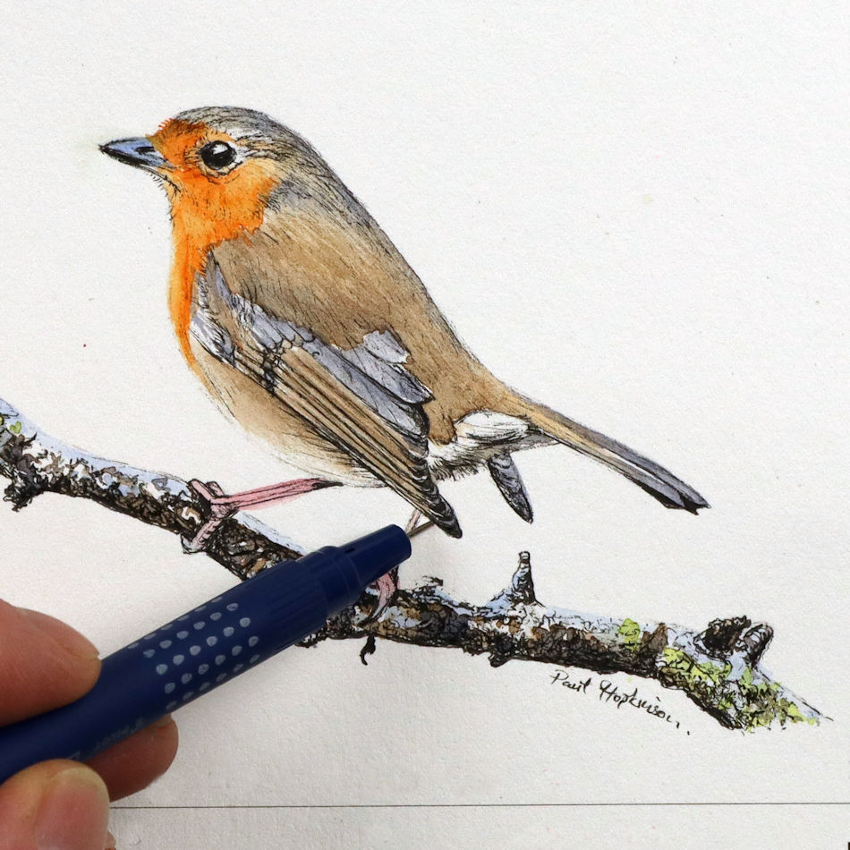 Pen and Wash Robin Painting for Beginner Artists - The Devon Artist